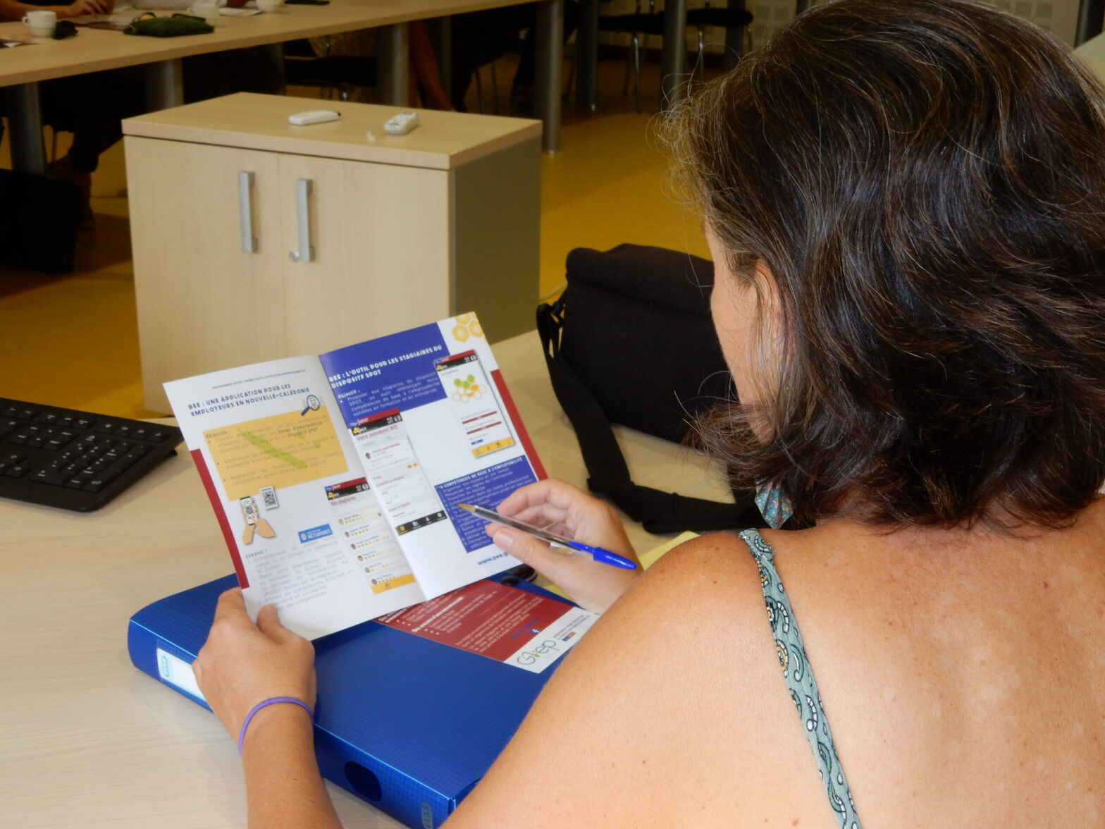 Lancement de l'application BEE - Giep NC, Insertion et évolution ...