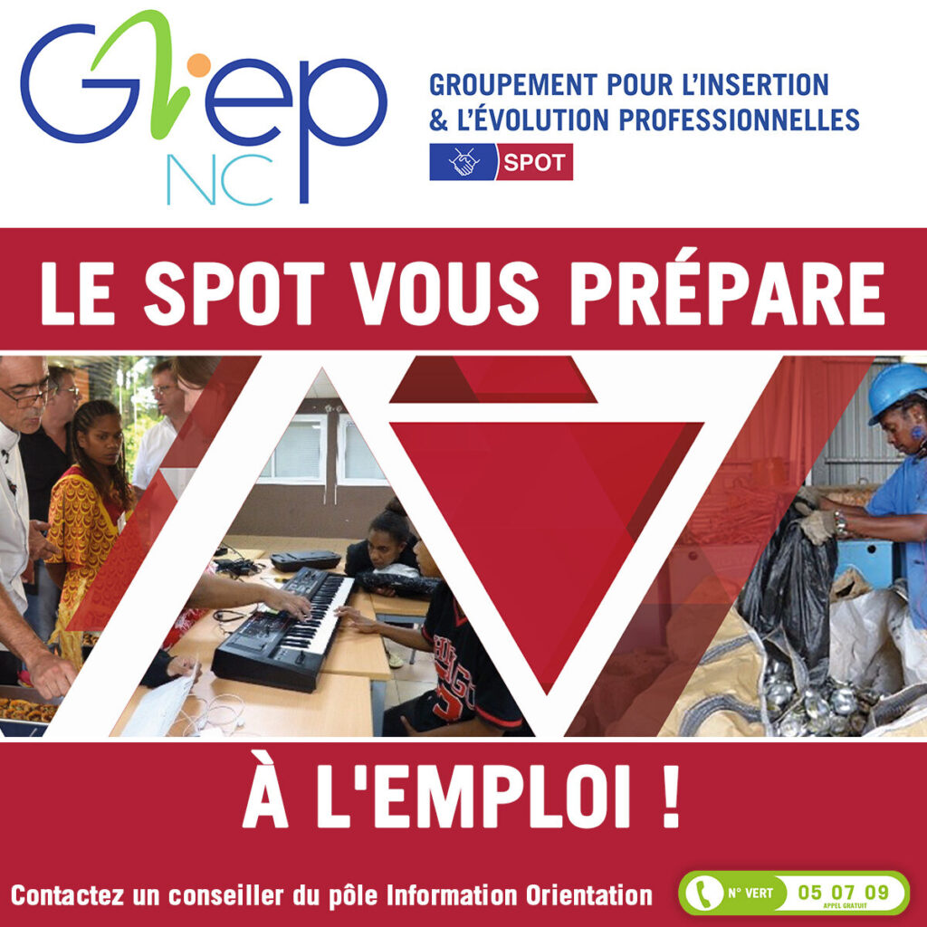 Giep NC, Insertion et évolution professionnelles, formations en Nouvelle-Calédonie